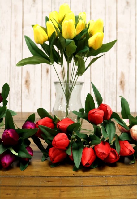 Tulips – Lotus Imports Ltd