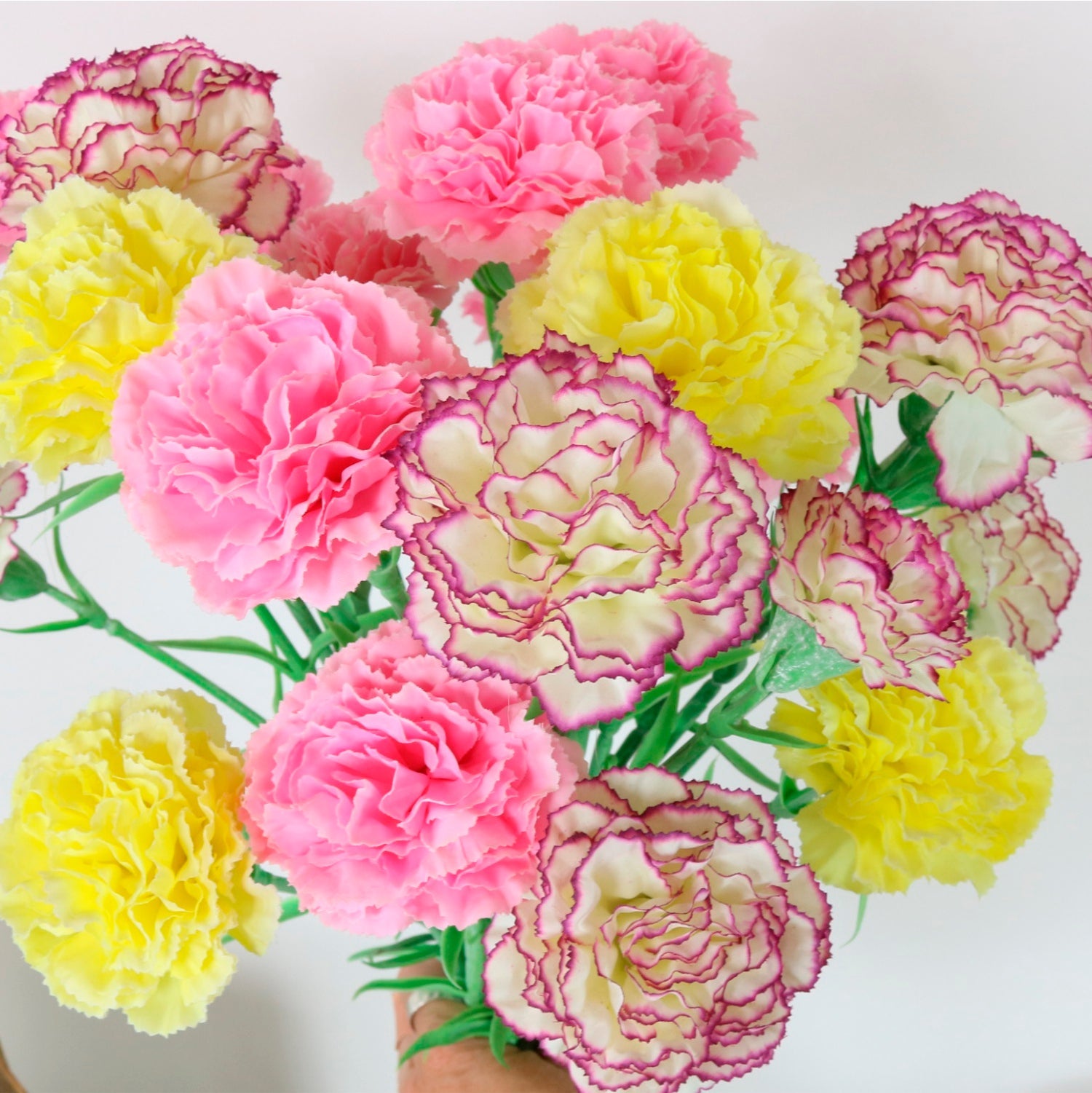 Carnation – Lotus Imports Ltd