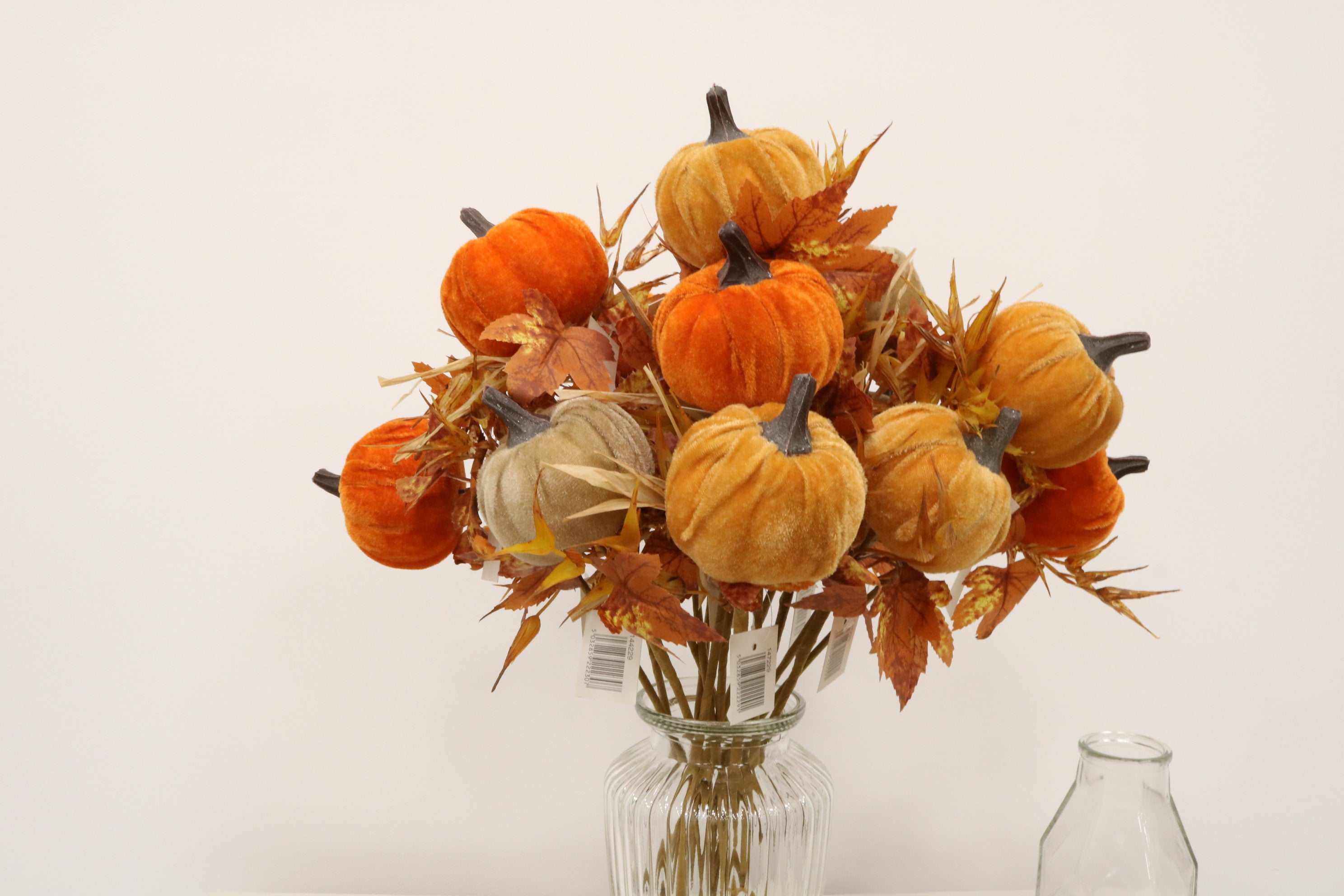Seasonal - Shop All – Lotus Imports Ltd