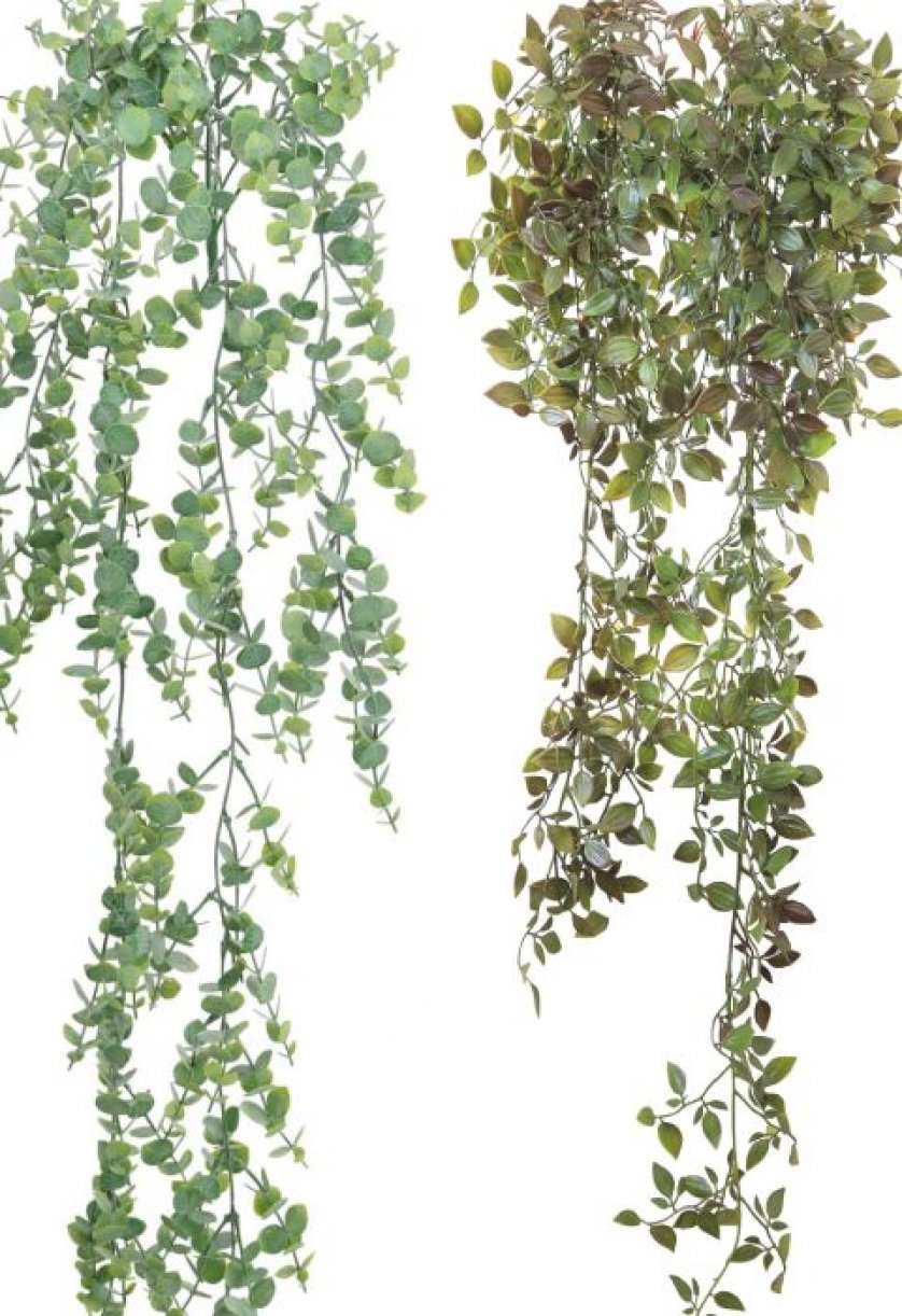 Trailing/garland (Foliage) – Lotus Imports Ltd