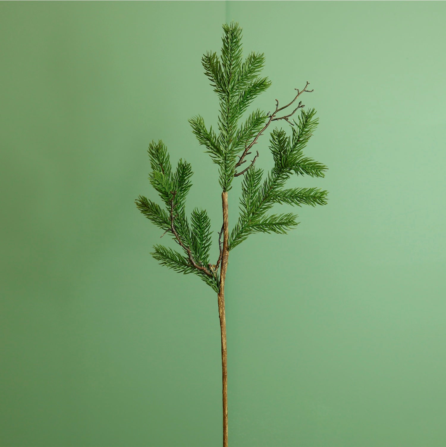 Premium Spruce & Twig Stem – Lotus Imports Ltd