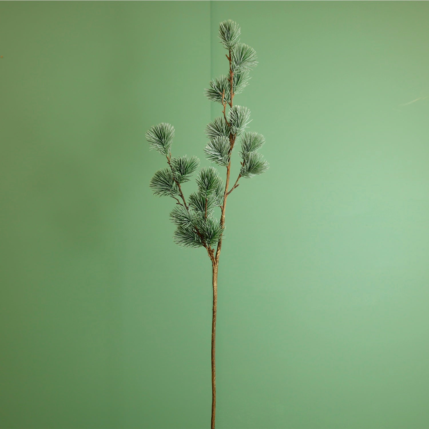 Premium Rounded Cedar Pine Spray – Lotus Imports Ltd