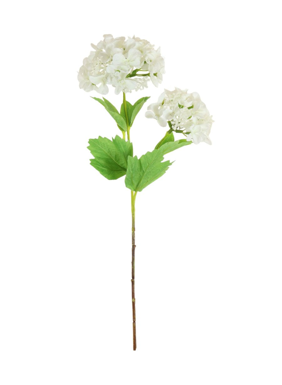Lace Cap Hydrangea Stem (2 Flower Heads) - Lotus Imports Limited ...