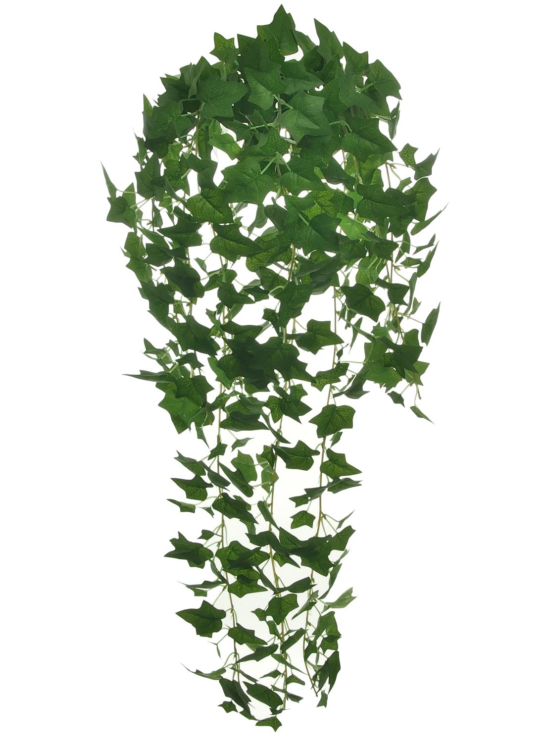 Trailing Ivy Bunch - Lotus Imports Limited – Lotus Imports Ltd