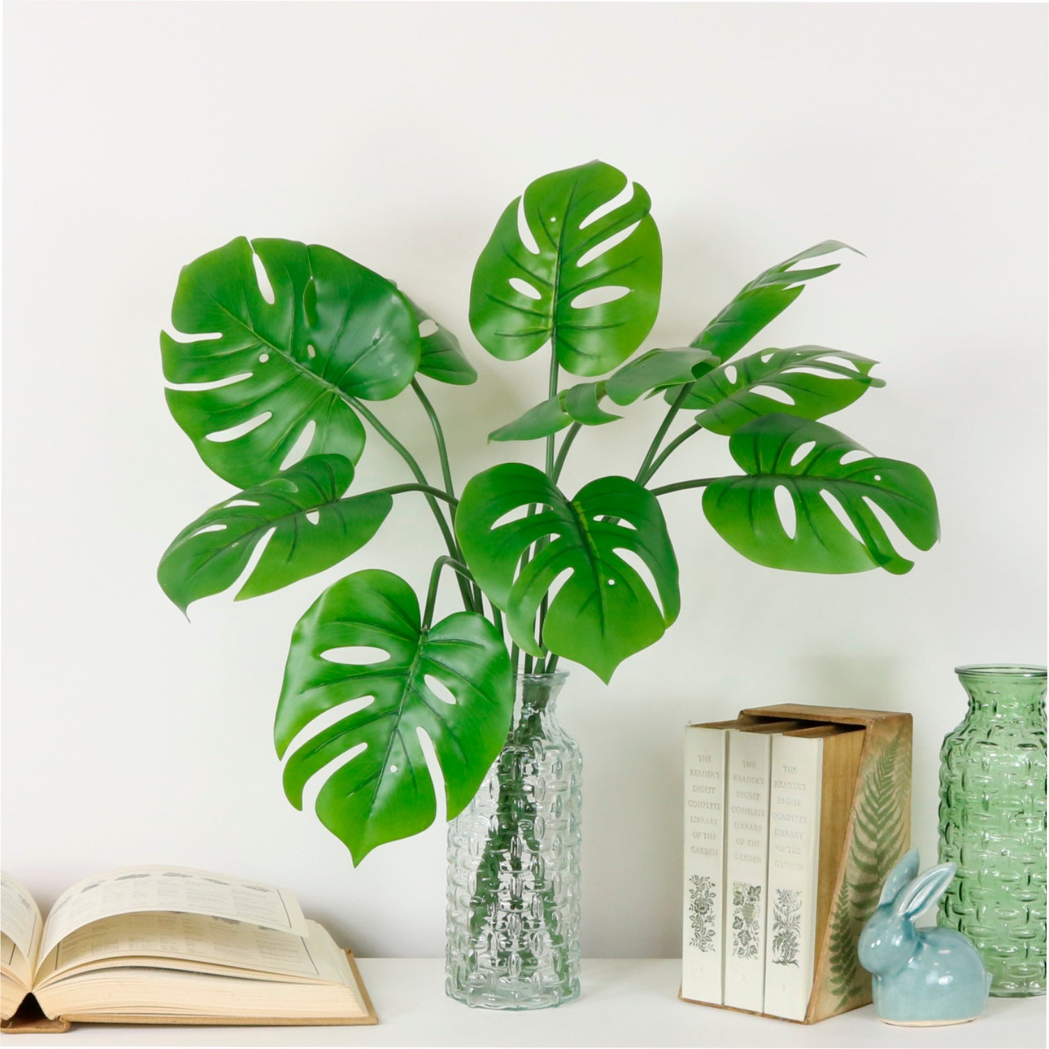 Monstera Stem (Mini) - Lotus Imports Limited – Lotus Imports Ltd
