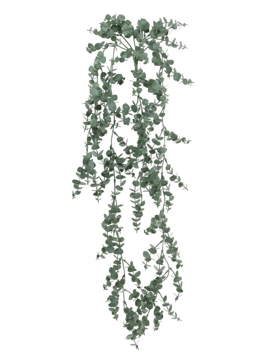 Trailing Gunni Eucalyptus - Lotus Imports Limited – Lotus Imports Ltd