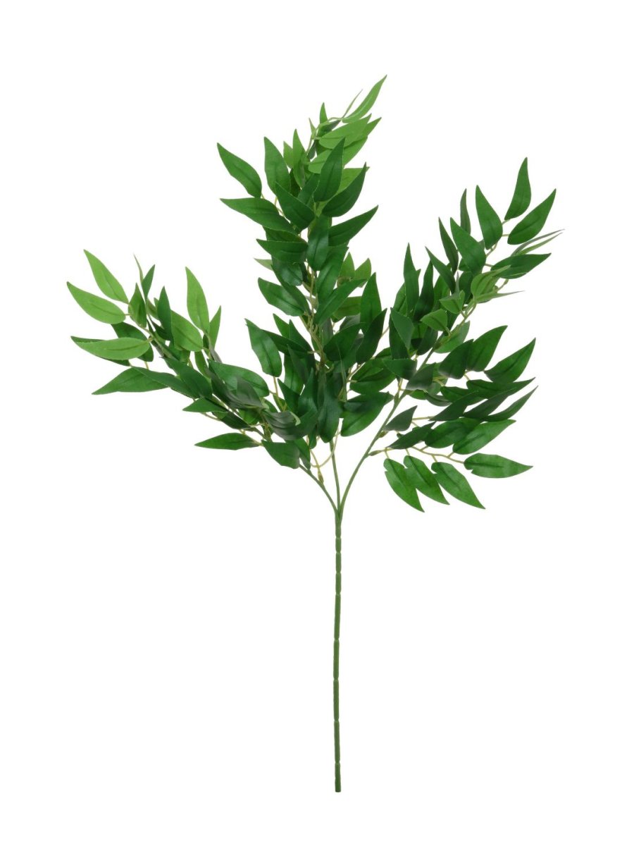 Silk Soft Ruscus Leaf Spray - Lotus Imports Limited – Lotus Imports Ltd