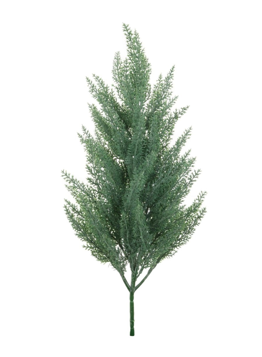 Mini Conifer Tree - Lotus Imports Limited – Lotus Imports Ltd