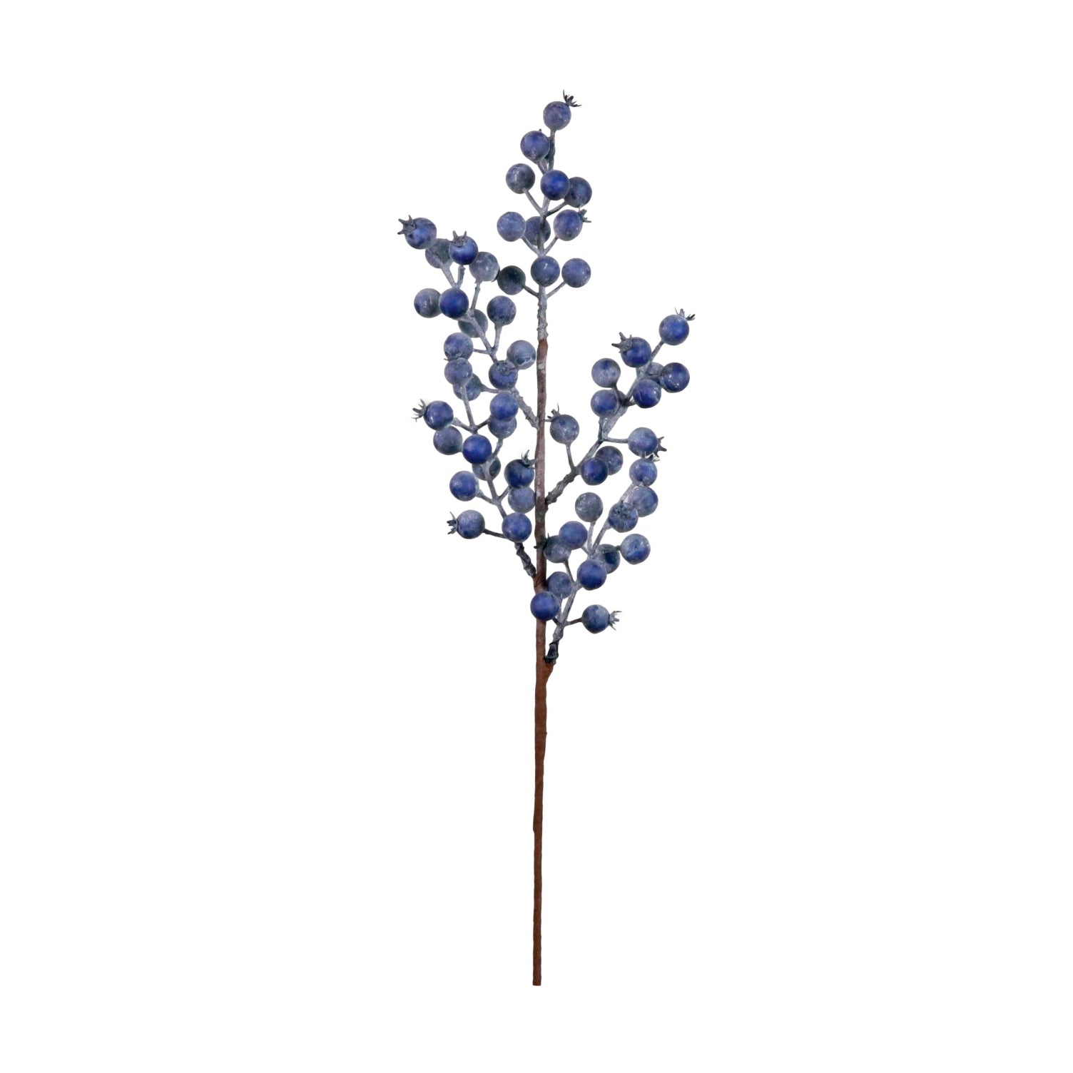 Seasonal Blueberry Stem – Lotus Imports Ltd