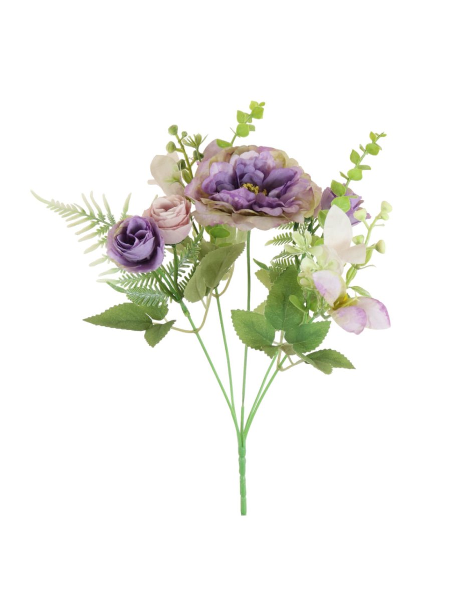 Evie Bunch - Lotus Imports Limited – Lotus Imports Ltd