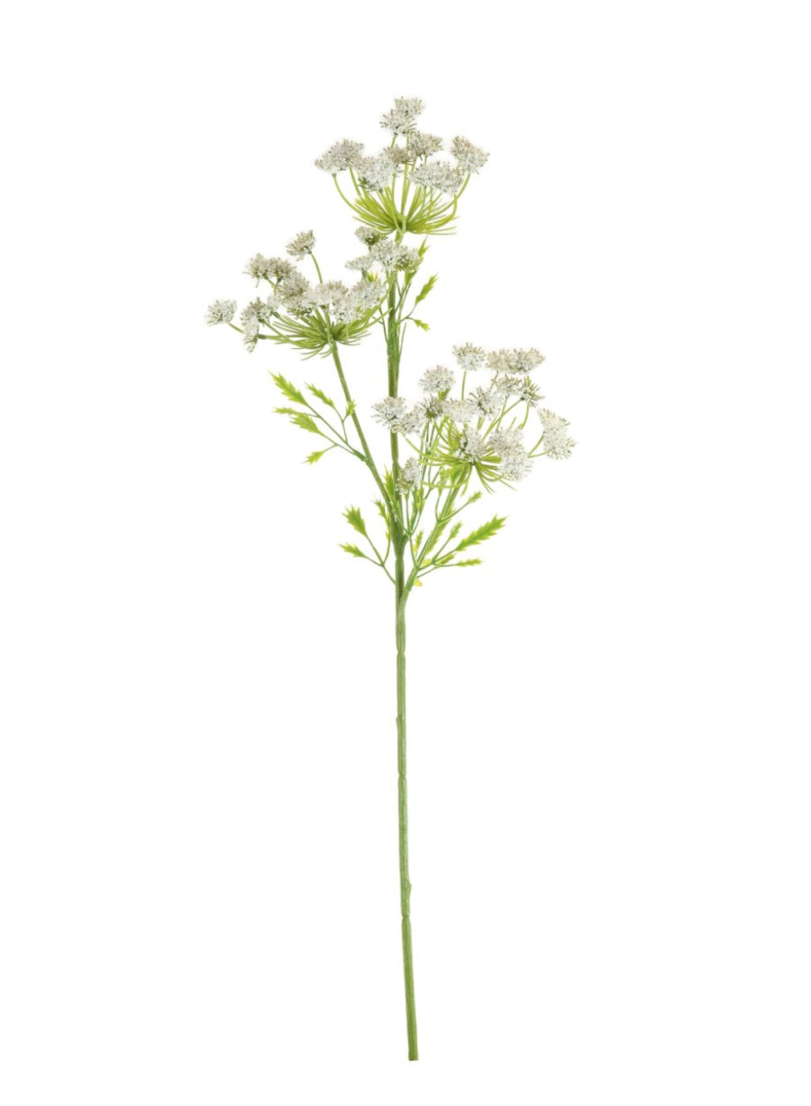 Cow Parsley Spray - Lotus Imports Limited – Lotus Imports Ltd