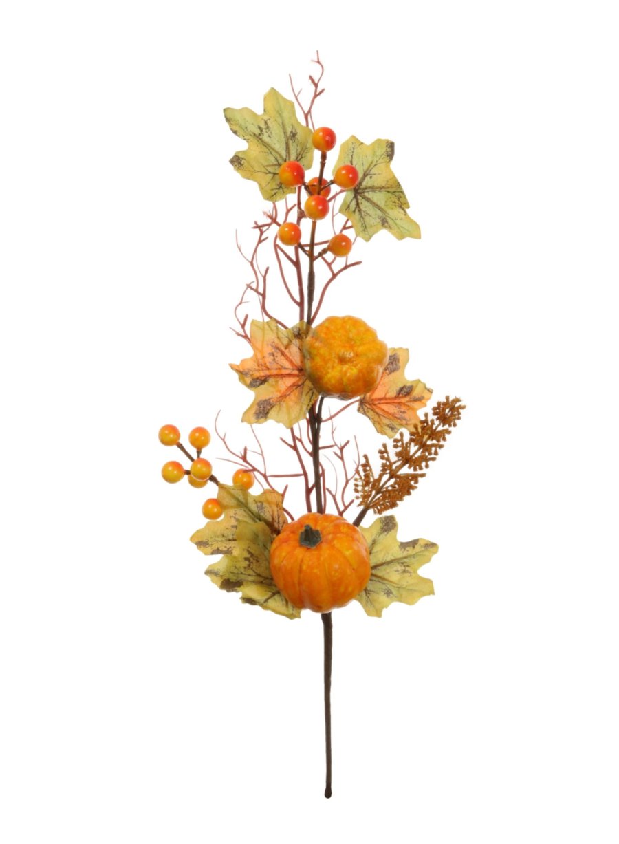 Autumn Pic No: 36 - Lotus Imports Limited – Lotus Imports Ltd