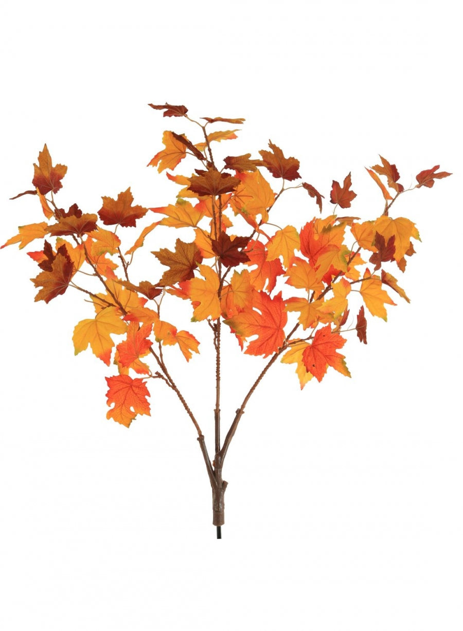 Fall Branch - Lotus Imports Limited – Lotus Imports Ltd