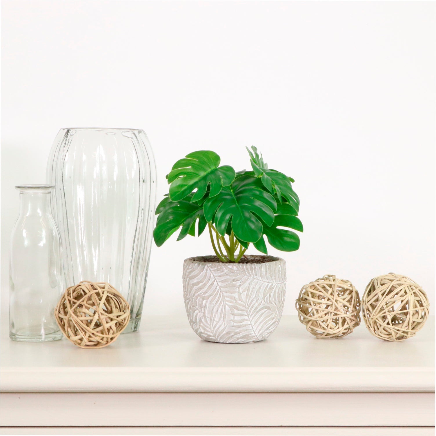 Potted Monstera Arrangement (Mini) - Lotus Imports Limited – Lotus ...