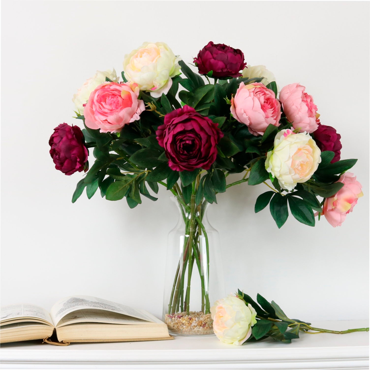 Millicent Peony - Lotus Imports Limited – Lotus Imports Ltd