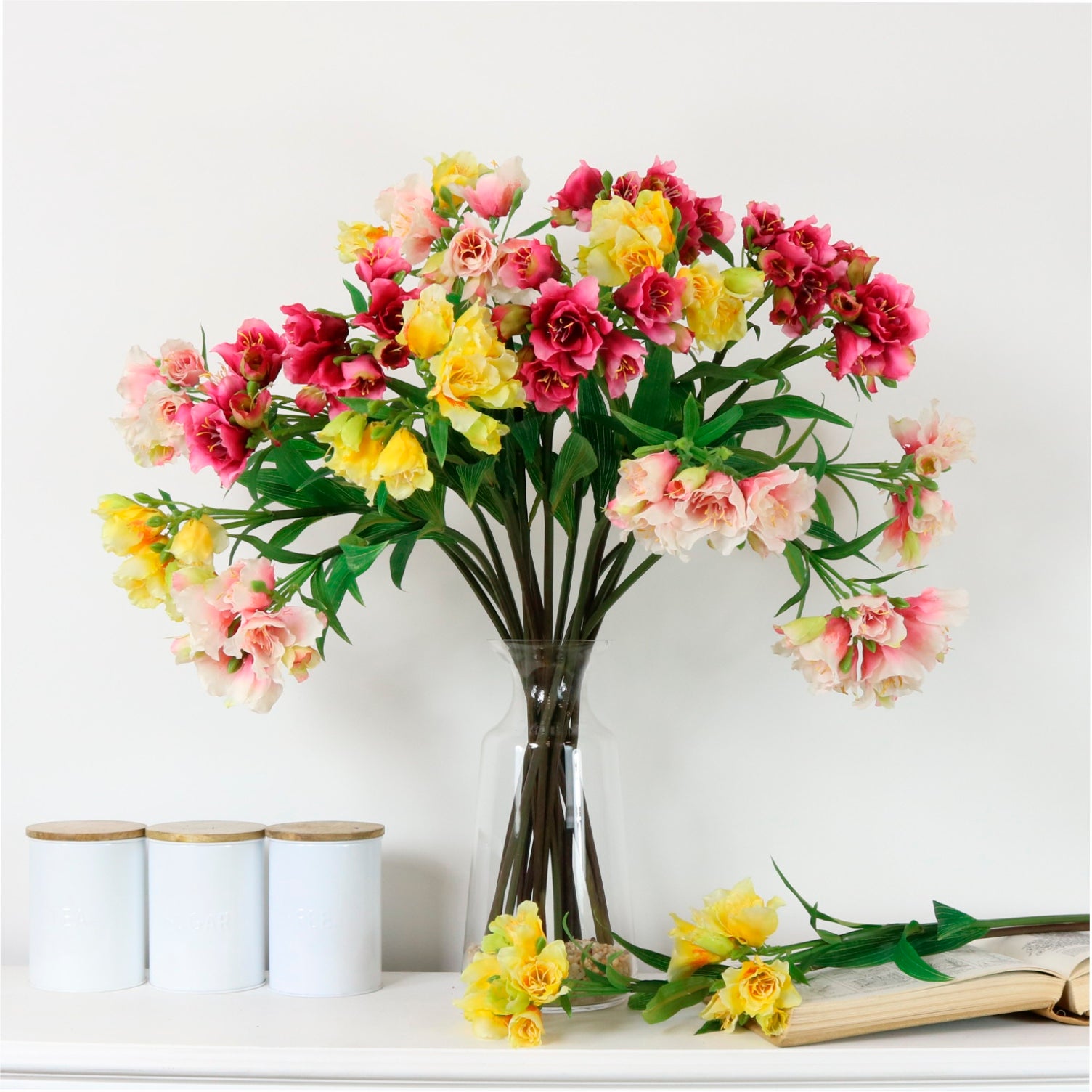 Alstroemeria (Premium) - Lotus Imports Limited – Lotus Imports Ltd